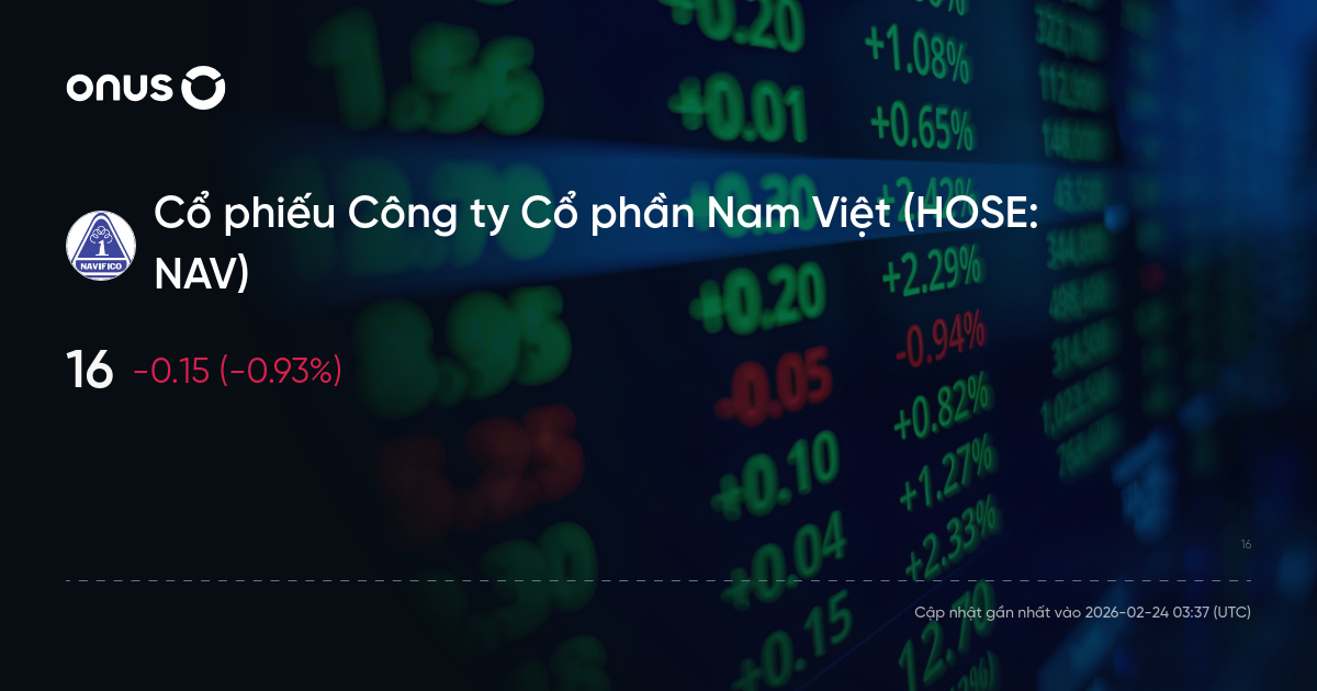 Báo cáo tài chính công ty Công ty Cổ phần Nam Việt (NAV): Dữ liệu doanh ...