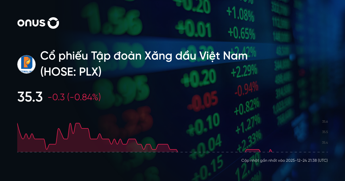Báo cáo tài chính công ty Tập đoàn Xăng dầu Việt Nam (PLX): Dữ liệu ...