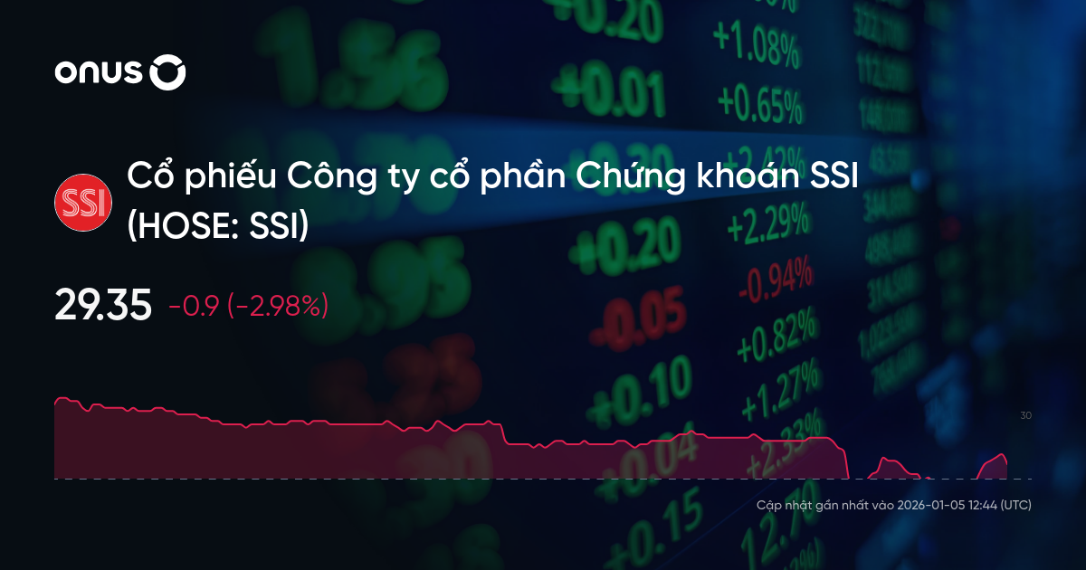 Báo cáo tài chính công ty Công ty cổ phần Chứng khoán SSI (SSI): Dữ ...