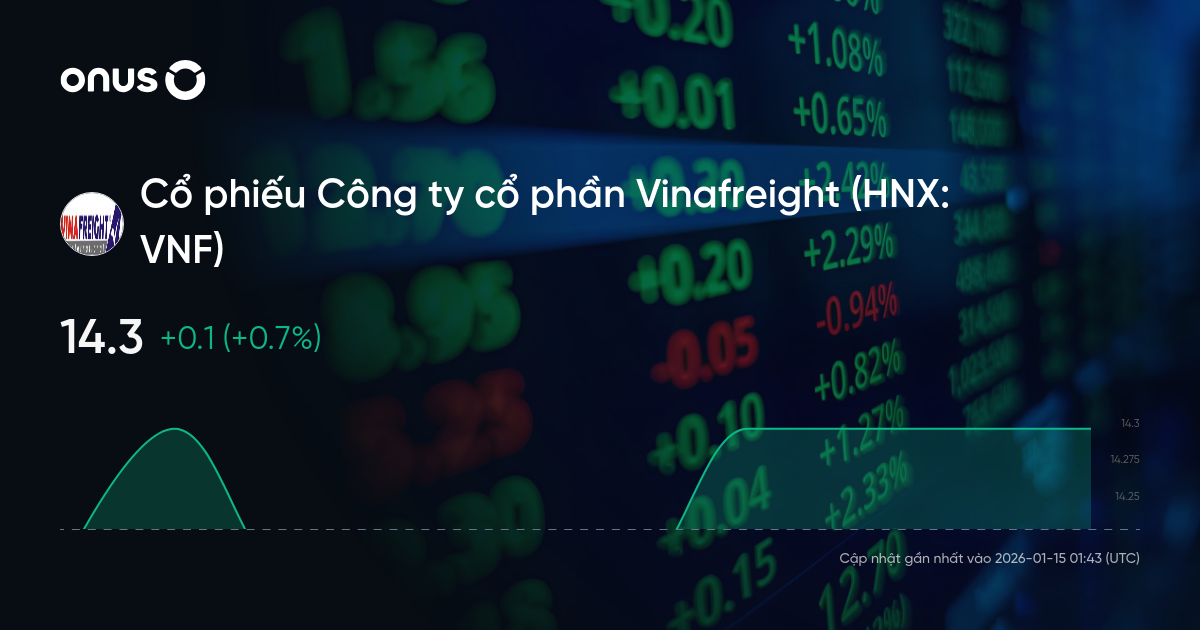 Hồ sơ doanh nghiệp Công ty cổ phần Vinafreight (VNF): Lịch sử & Thông ...
