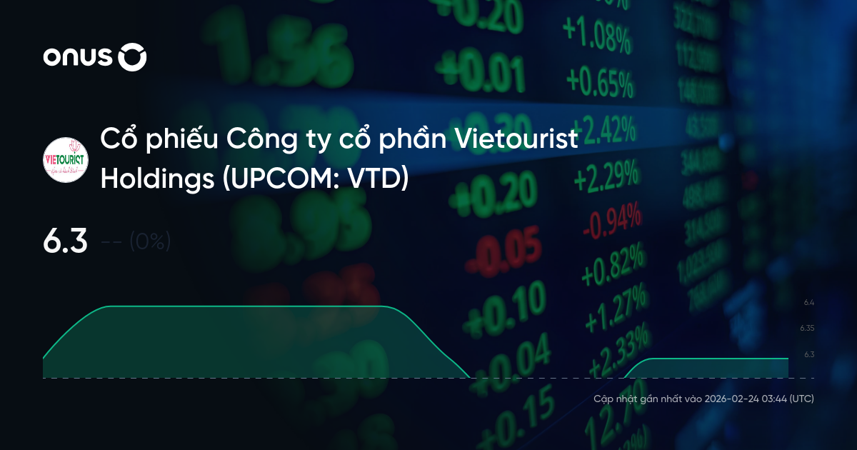 Hồ sơ doanh nghiệp Công ty cổ phần Vietourist Holdings (VTD): Lịch sử ...
