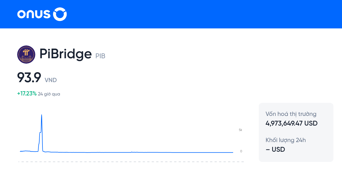 PiBridge từ A đến Z | Thông tin, Lịch sử và Phân tích PIB chuyên sâu
