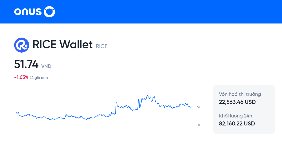 RICE Wallet từ A đến Z | Thông tin, Lịch sử và Phân tích RICE chuyên sâu