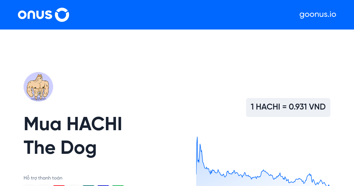 Mua HACHI bằng Thẻ tín dụng tại Việt Nam | 5 bước giao dịch HACHI ngay