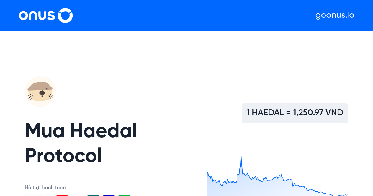 Mua HAEDAL bằng Thẻ tín dụng tại Việt Nam | 5 bước giao dịch HAEDAL ngay