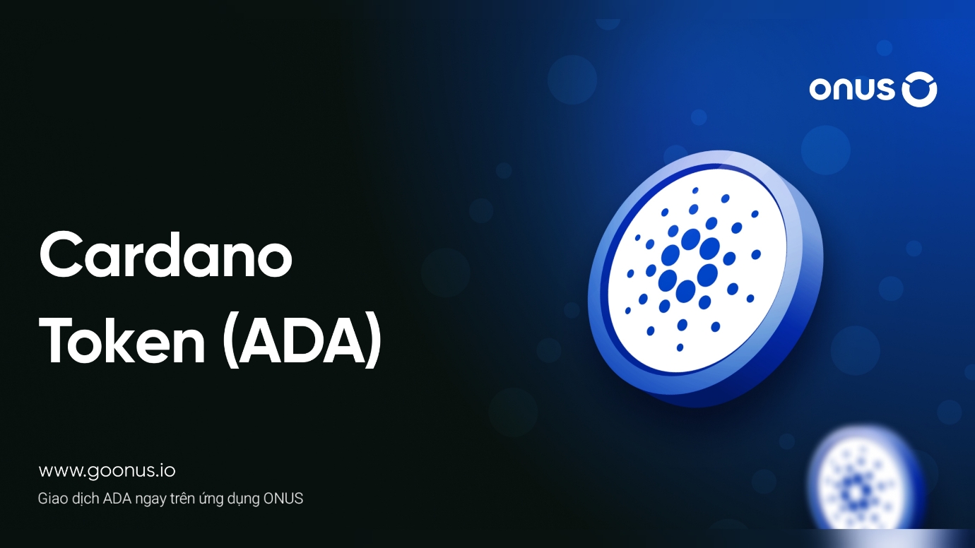 🔘 Cardano bổ sung hơn 2.100 ví mỗi ngày vào năm 2024 - VI Insights