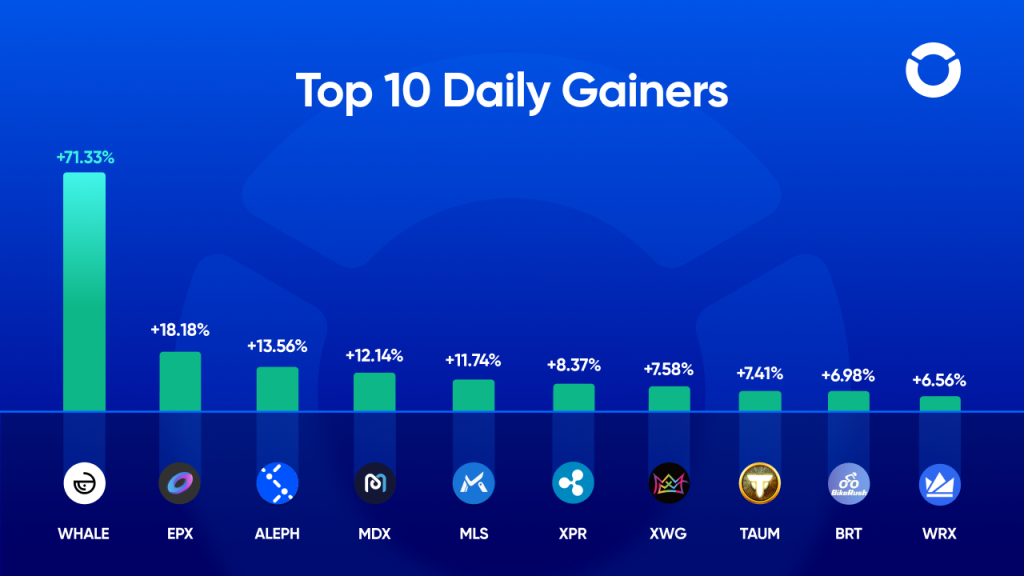 Top 10 Daily Gainers - EN Insights