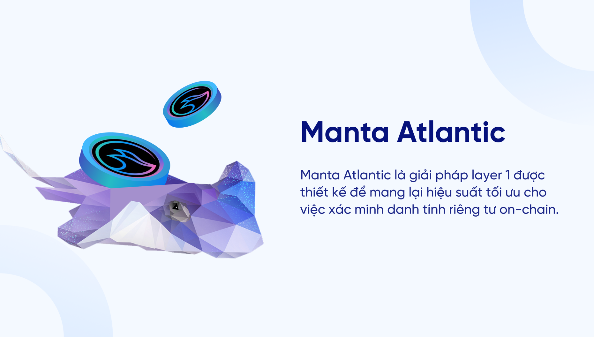 MANTA là gì? Tìm hiểu về dự án Manta Network và MANTA token