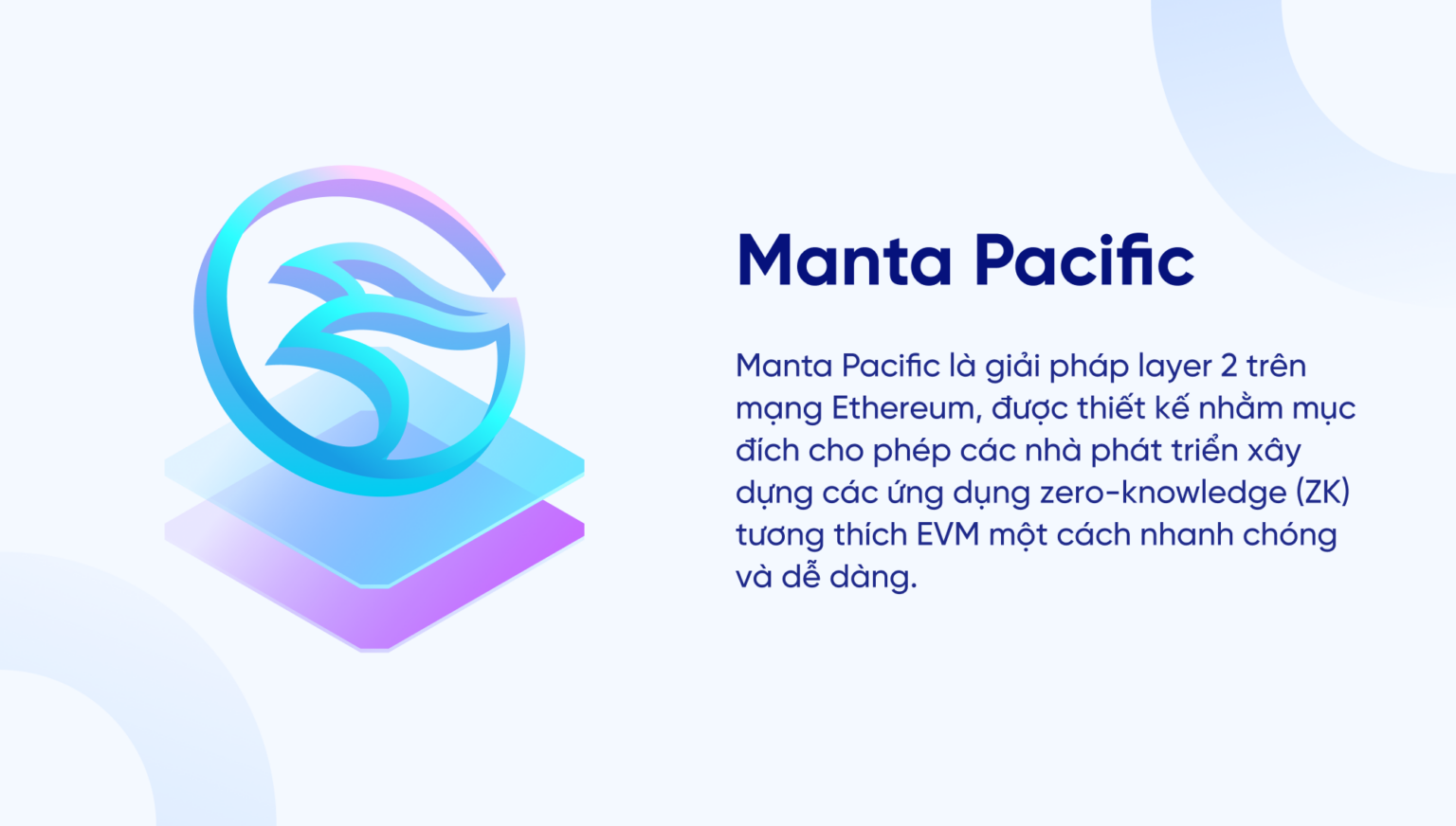 MANTA là gì? Tìm hiểu về dự án Manta Network và MANTA token
