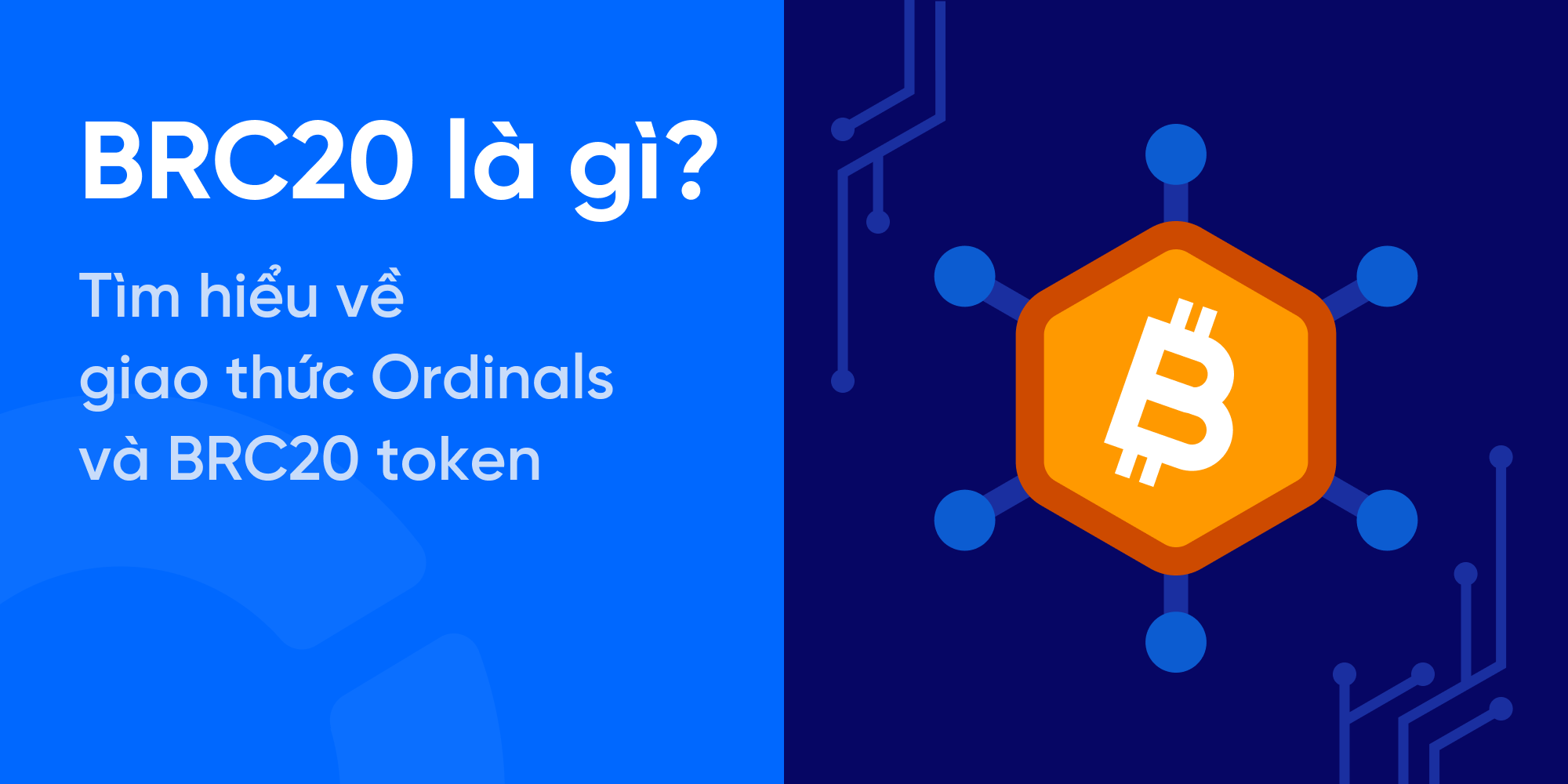 BRC20 là gì? Tìm hiểu về giao thức Ordinals và BRC20 token