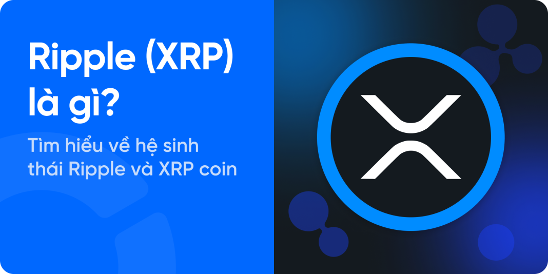 Ripple (XRP) là gì? Tìm hiểu về hệ sinh thái Ripple và XRP coin