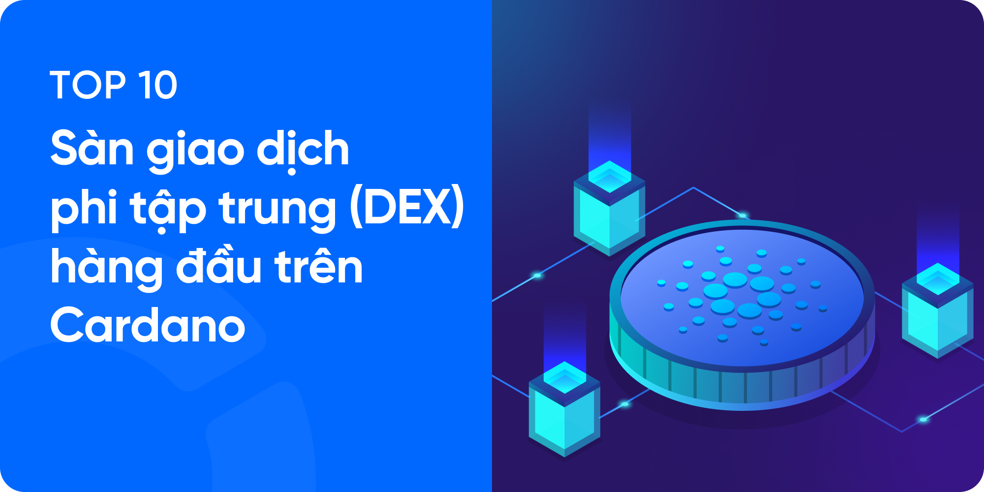 Top 10 sàn giao dịch phi tập trung (DEX) trên Cardano