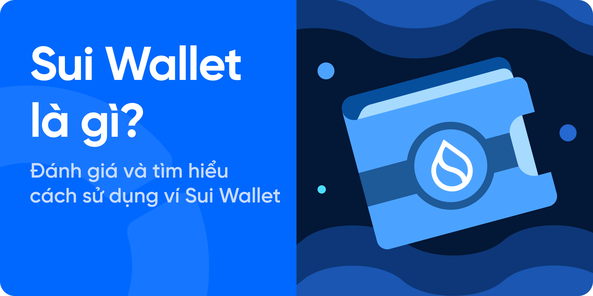 Sui Wallet là gì? Hướng dẫn sử dụng chi tiết ví Sui Wallet mới nhất