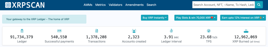 XRP Scan là gì? Hướng dẫn sử dụng XRP Scan chi tiết nhất