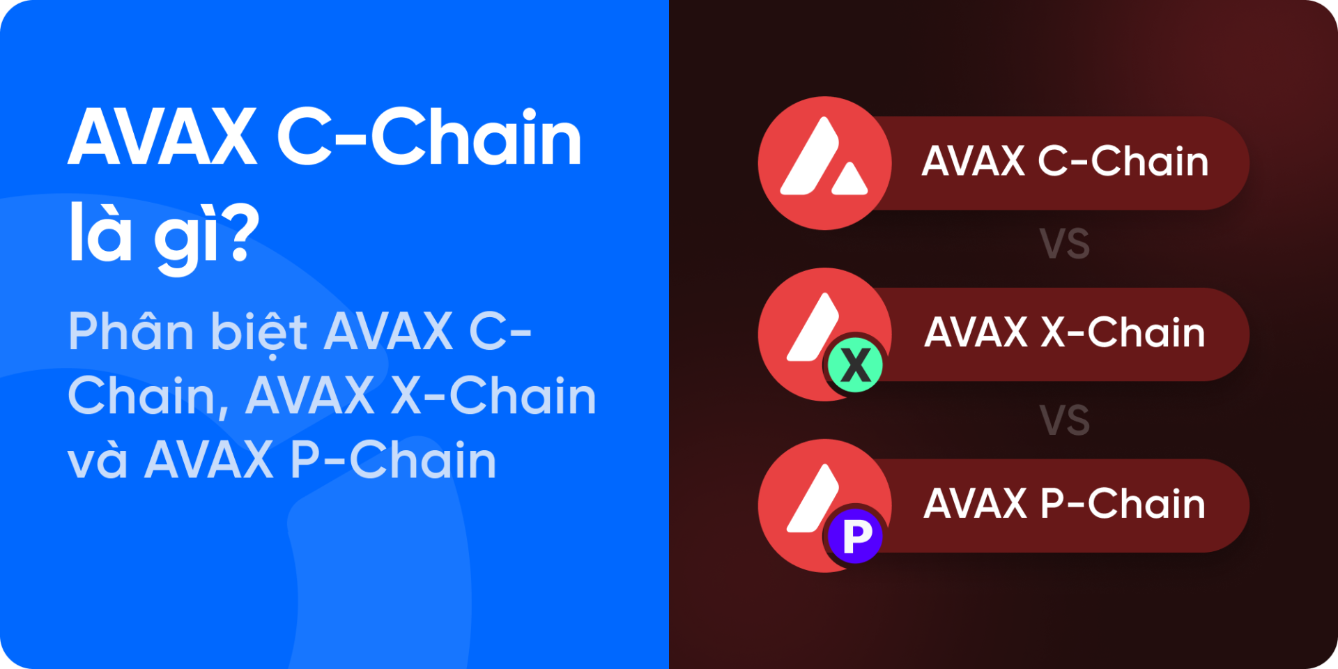 AVAX C-Chain là gì? Phân biệt AVAX C-Chain, AVAX X-Chain và AVAX P-Chain