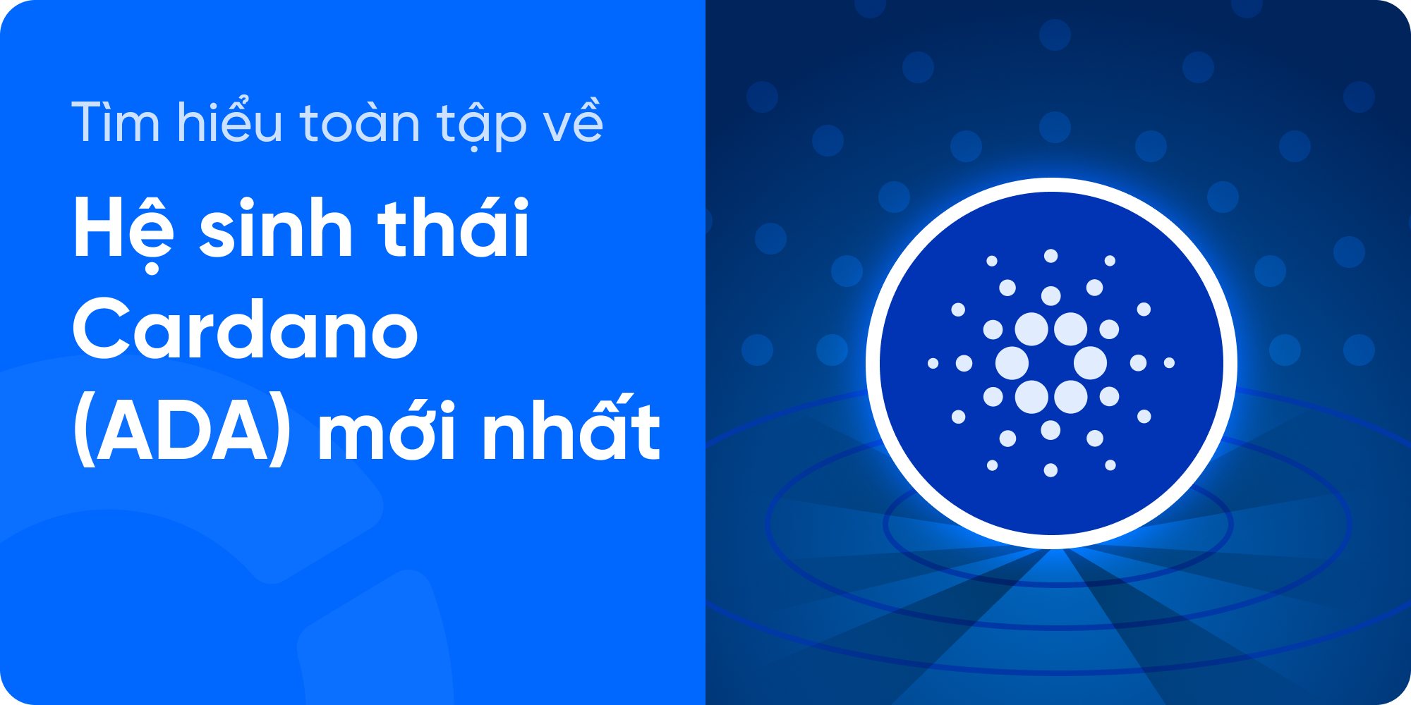 Tìm hiểu toàn tập về hệ sinh thái Cardano (ADA) mới nhất