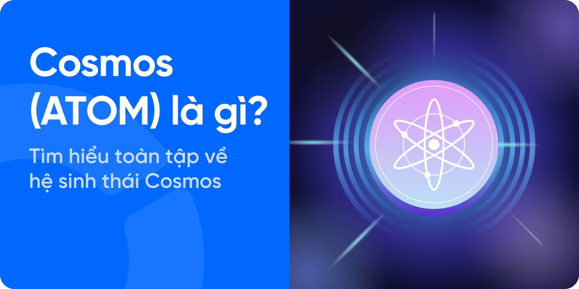 Cosmos (ATOM) là gì? Tìm hiểu toàn tập về hệ sinh thái Cosmos