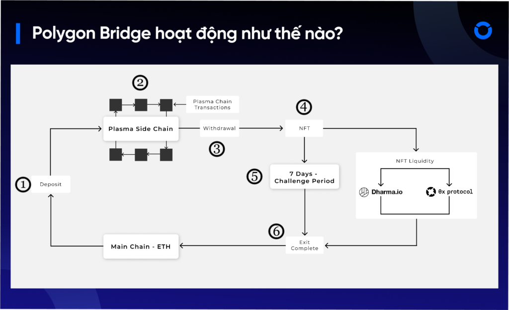 Polygon Bridge là gì? Hướng dẫn sử dụng Polygon Bridge 2024