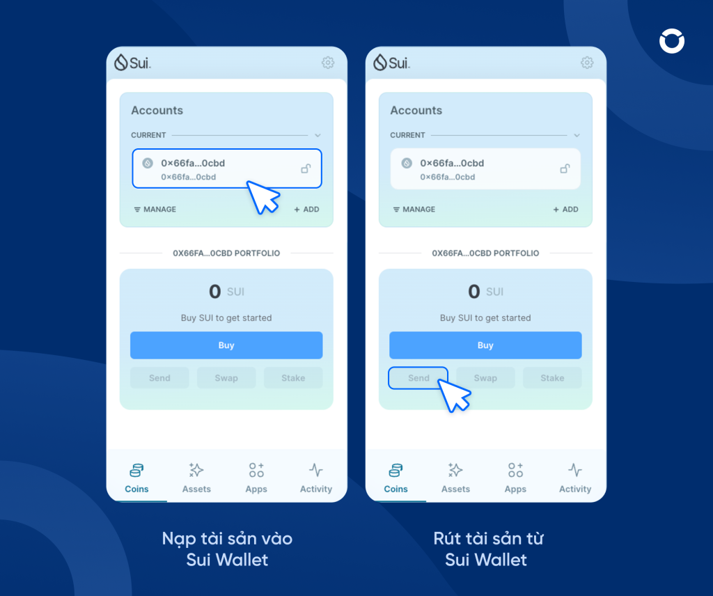 Sui Wallet là gì? Hướng dẫn sử dụng chi tiết ví Sui Wallet mới nhất