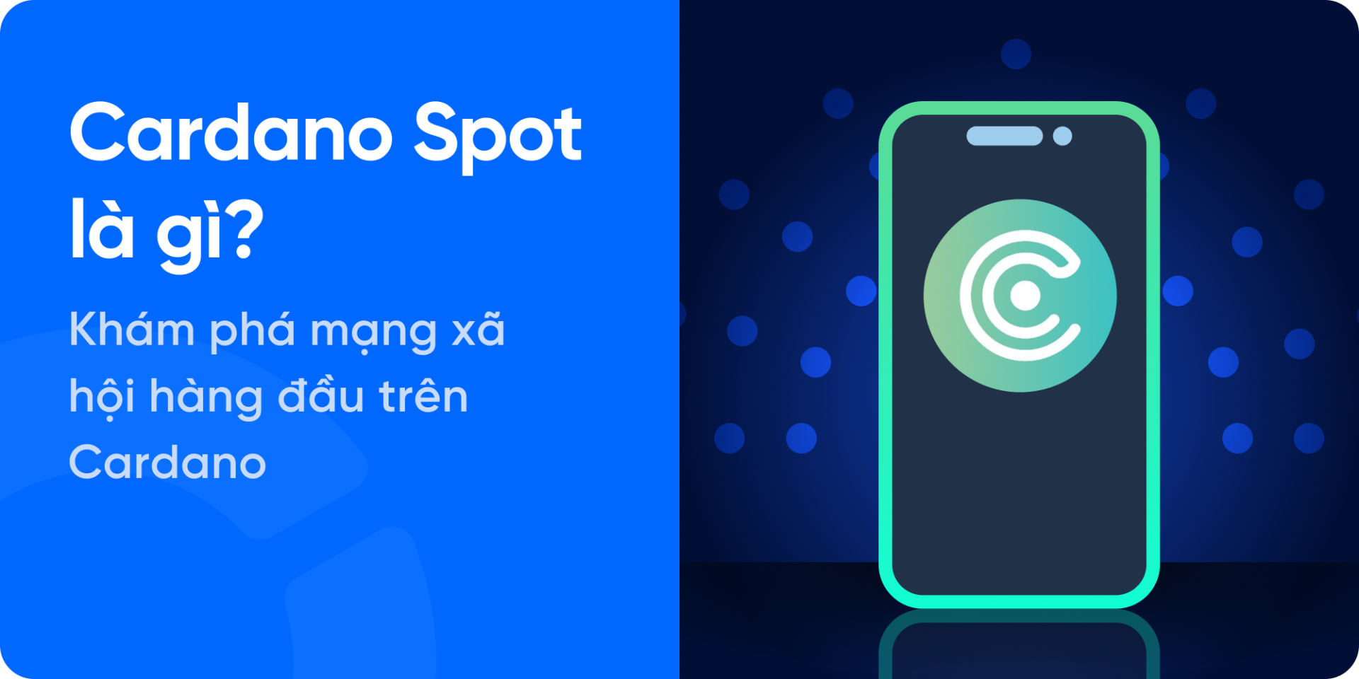 Cardano Spot là gì? Khám phá mạng xã hội hàng đầu trên Cardano