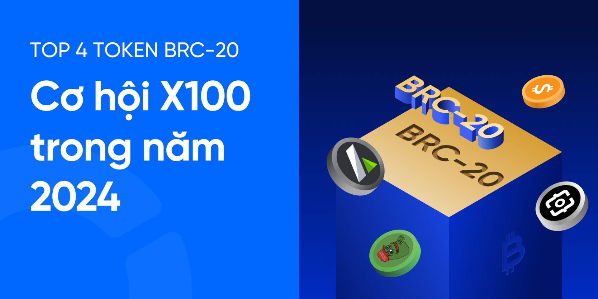 BRC-20 Là GÌ? Top 4 Đồng Coin Hệ BRC-20 Của Năm 2024