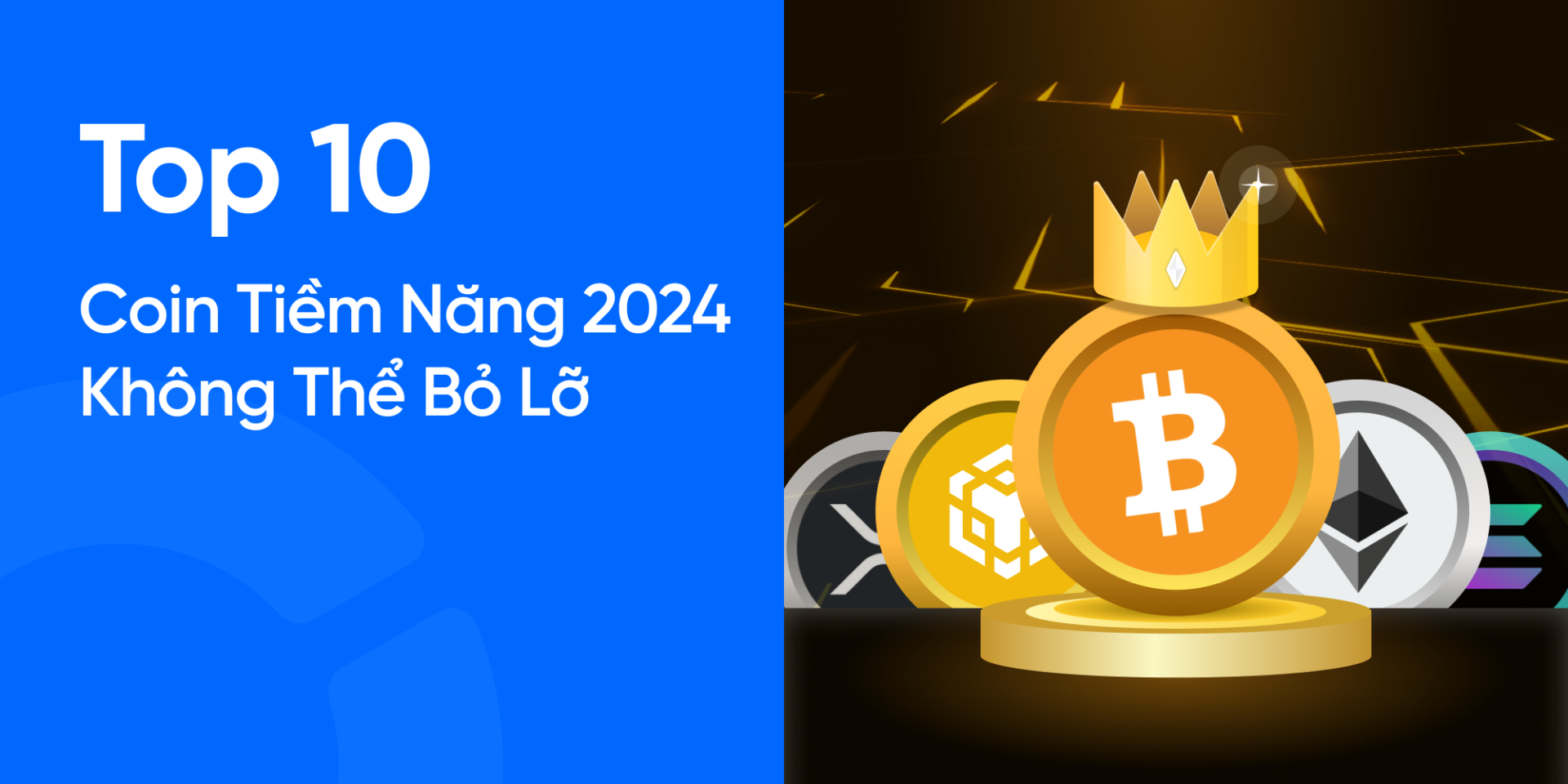 Top 10 Coin Tiềm Năng 2024 Không Thể Bỏ Lỡ