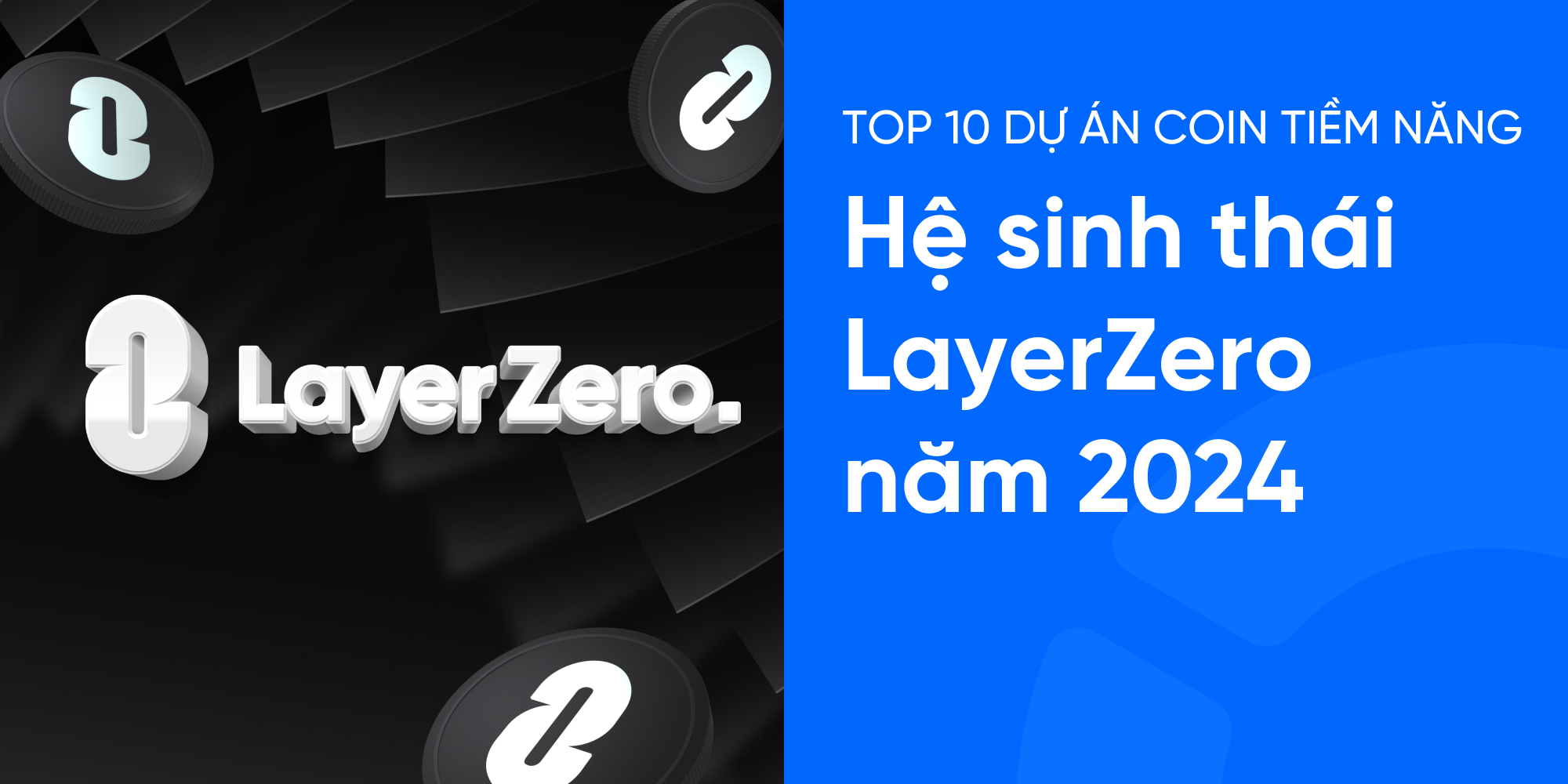 TOP 10 dự án coin hệ LayerZero tiềm năng 2024