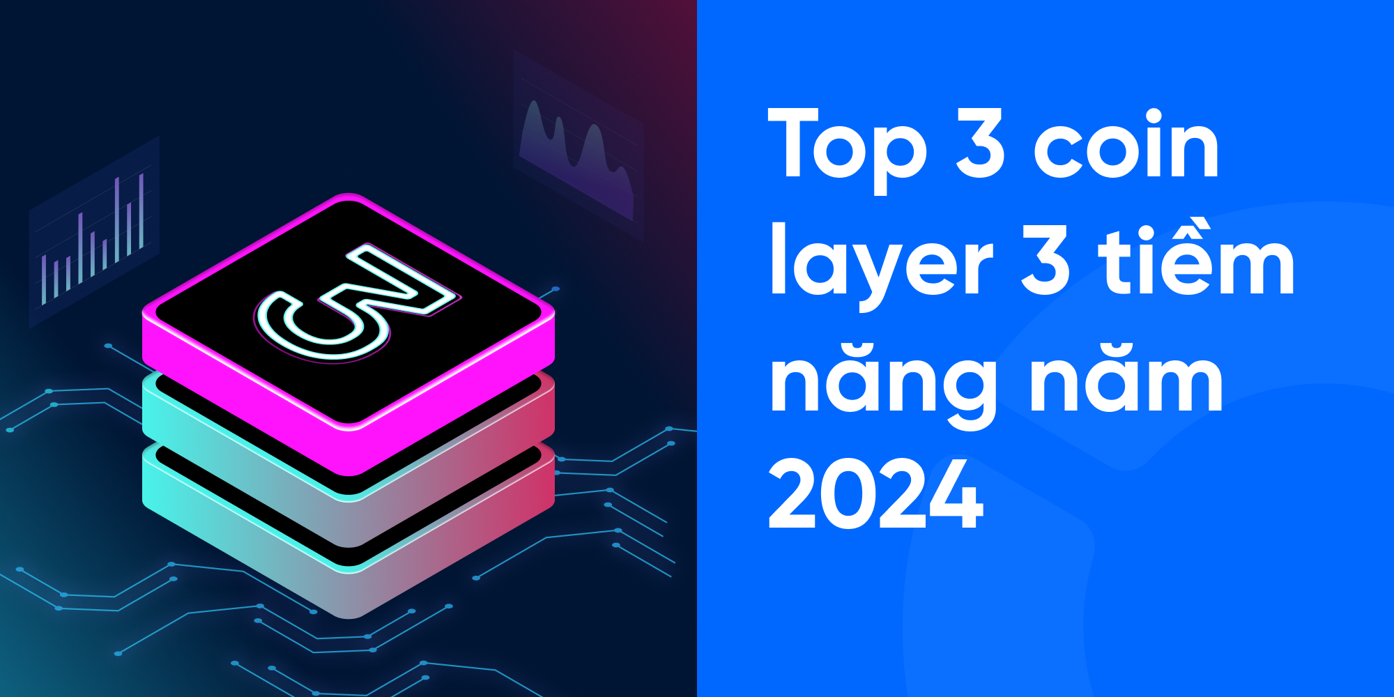 Top 3 coin layer 3 tiềm năng năm 2024