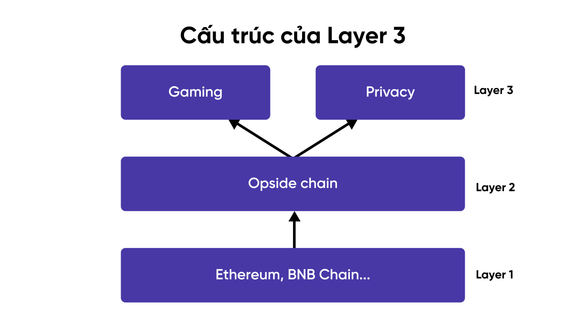 Top 3 coin layer 3 tiềm năng năm 2024