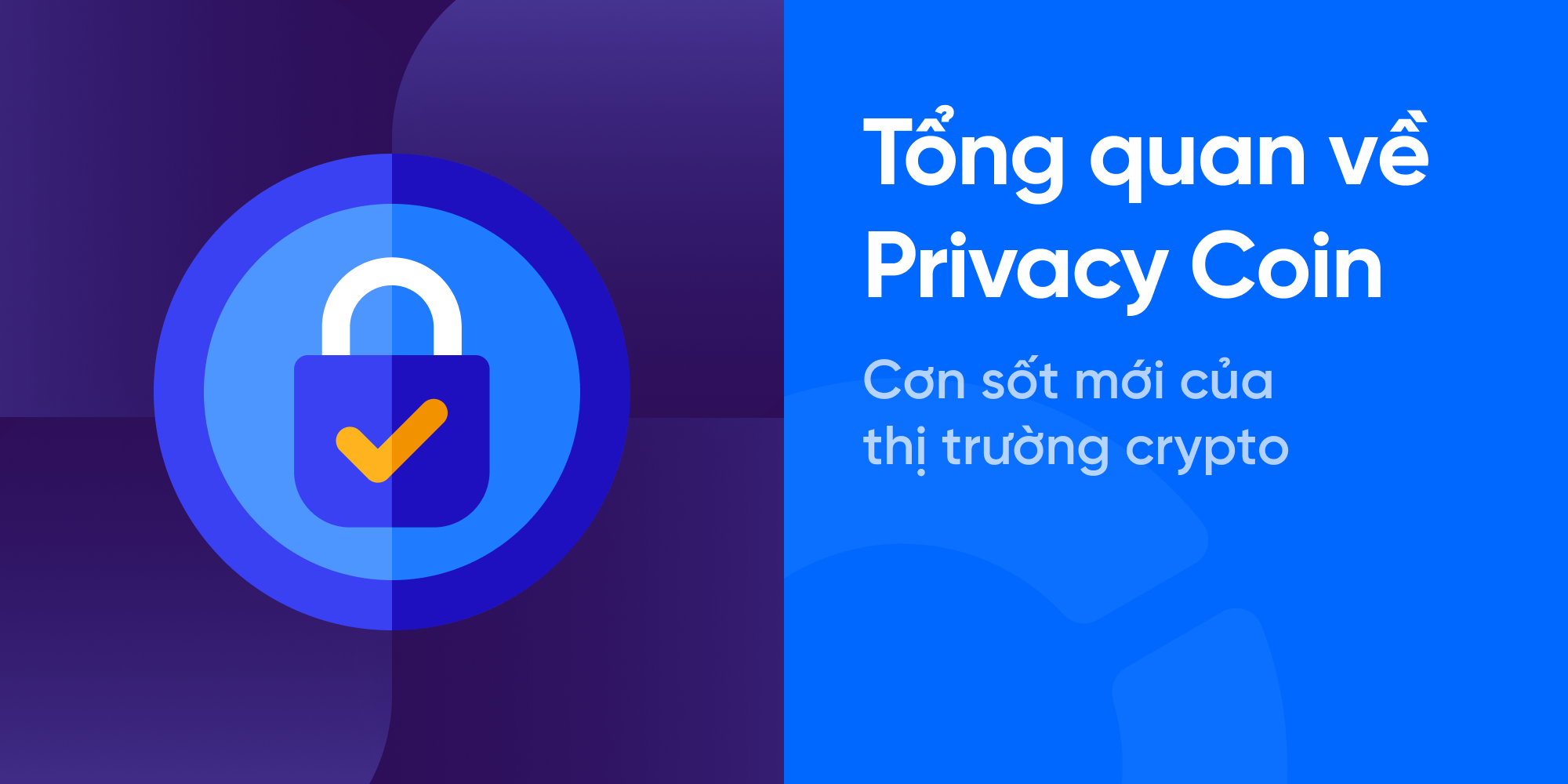 Privacy Coin là gì? Tìm hiểu từ A-Z về đồng tiền ẩn danh