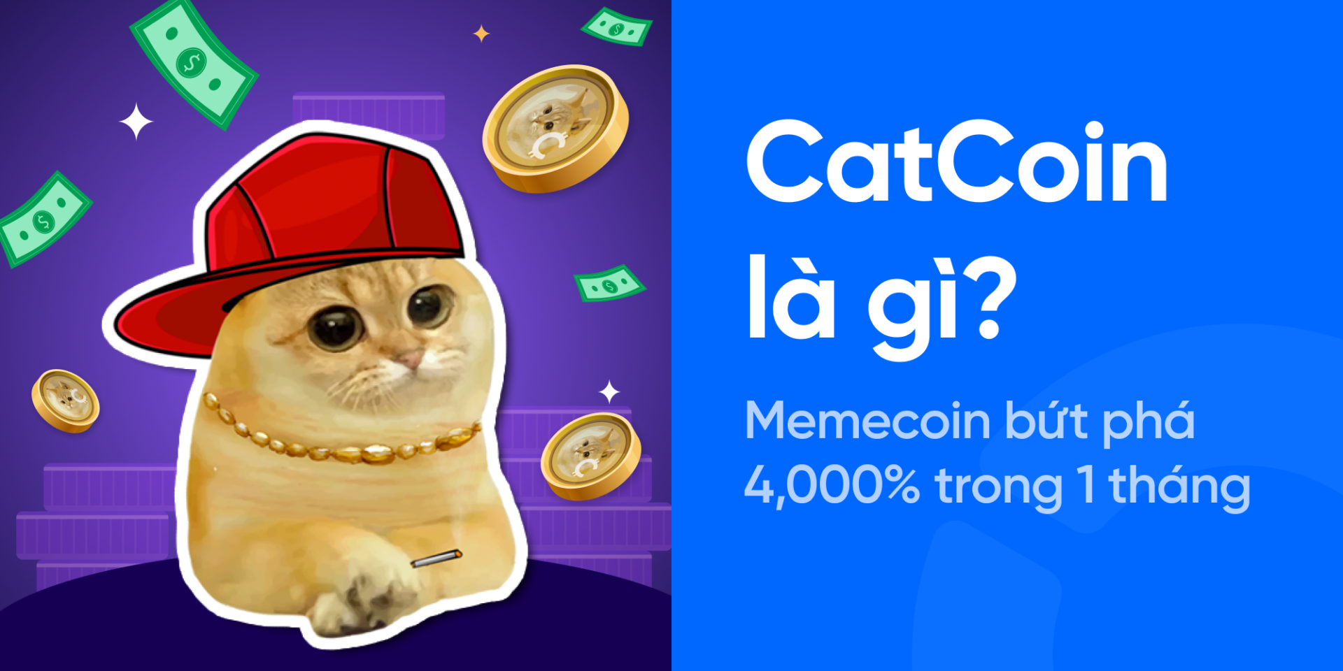 Catcoin là gì? Tìm hiểu về meme coin bứt phá 4,000% trong 1 tháng