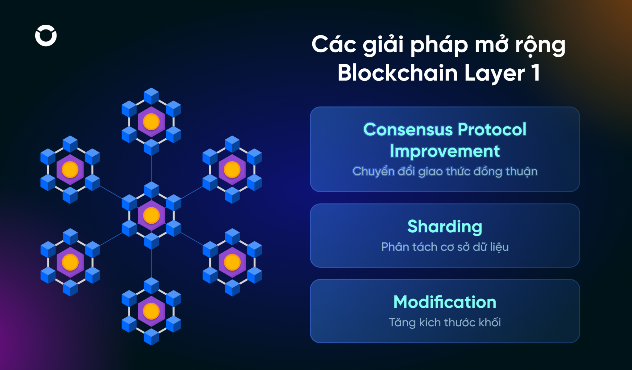 Blockchain layer 1 là gì? Danh sách các token layer 1 đáng đầu tư 2024