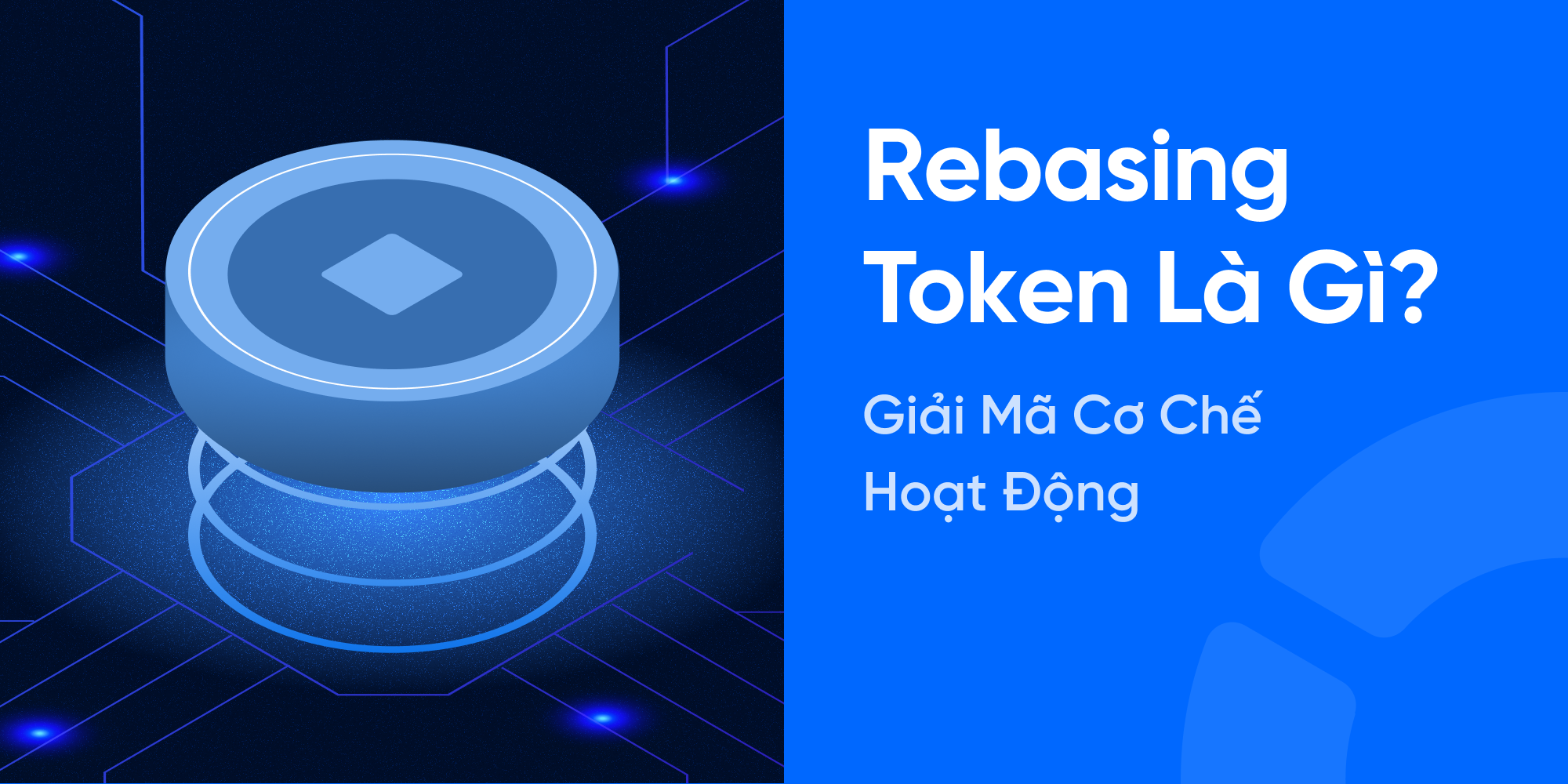 Rebasing Token Là Gì? Tìm Hiểu Tiềm Năng Của Token Rebase
