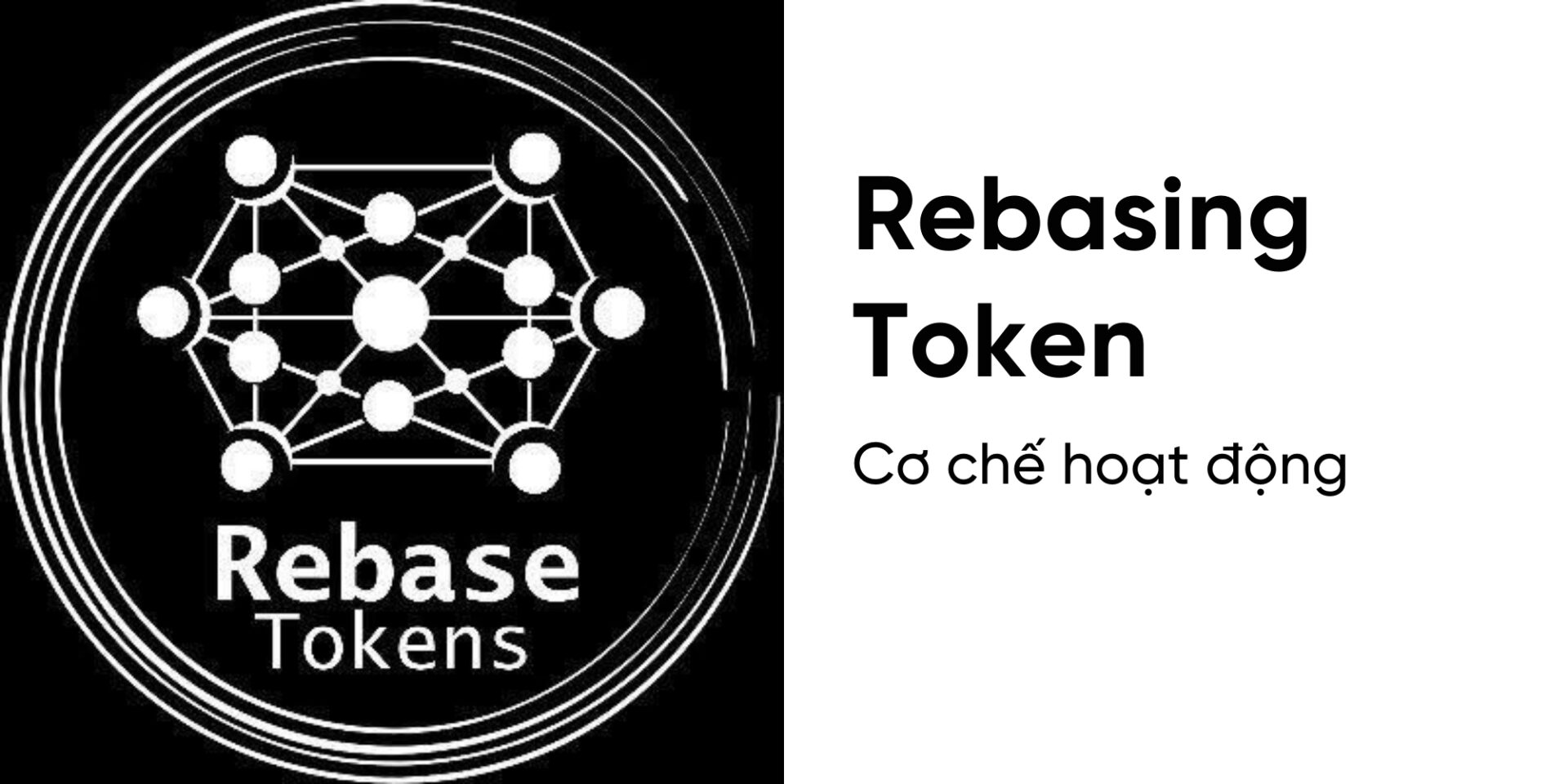 Rebasing Token Là Gì? Tìm Hiểu Tiềm Năng Của Token Rebase