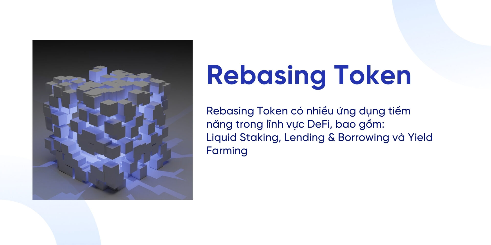 Rebasing Token Là Gì? Tìm Hiểu Tiềm Năng Của Token Rebase