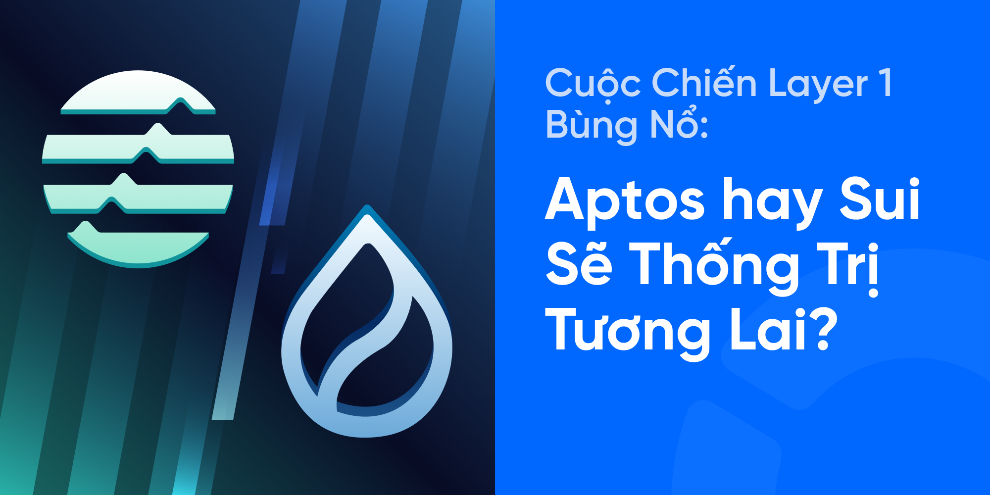 Cuộc Chiến Layer 1 Bùng Nổ: Aptos hay Sui Sẽ Thống Trị?