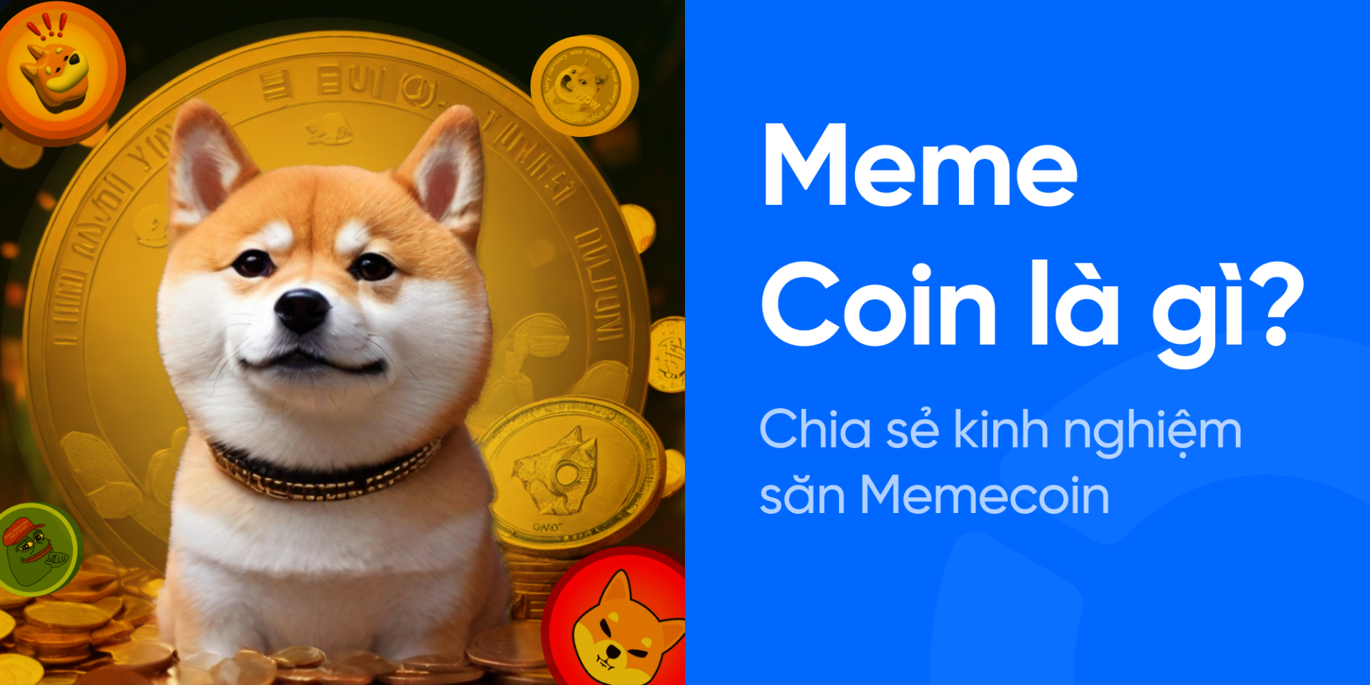 Săn Meme coin là gì? Chia sẻ kinh nghiệm săn Memecoin 2024