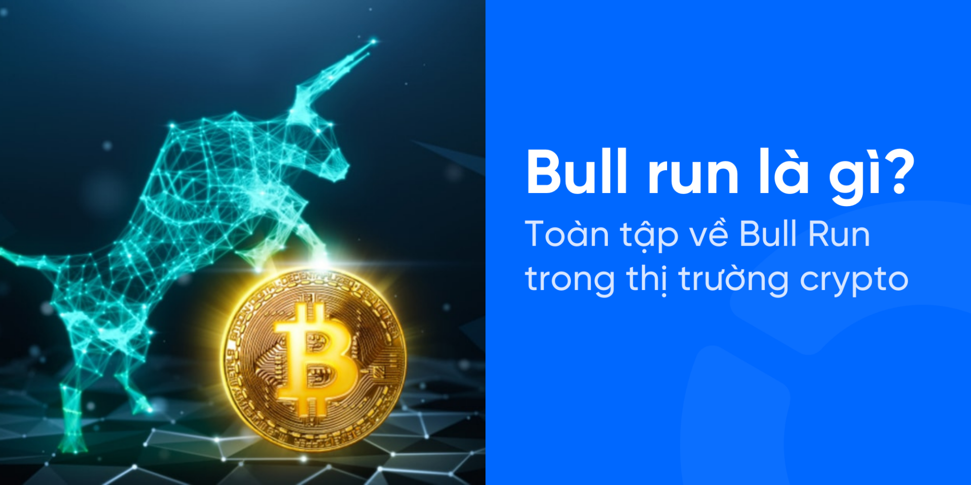 Bull run là gì? Toàn tập về Bull Run trong thị trường crypto
