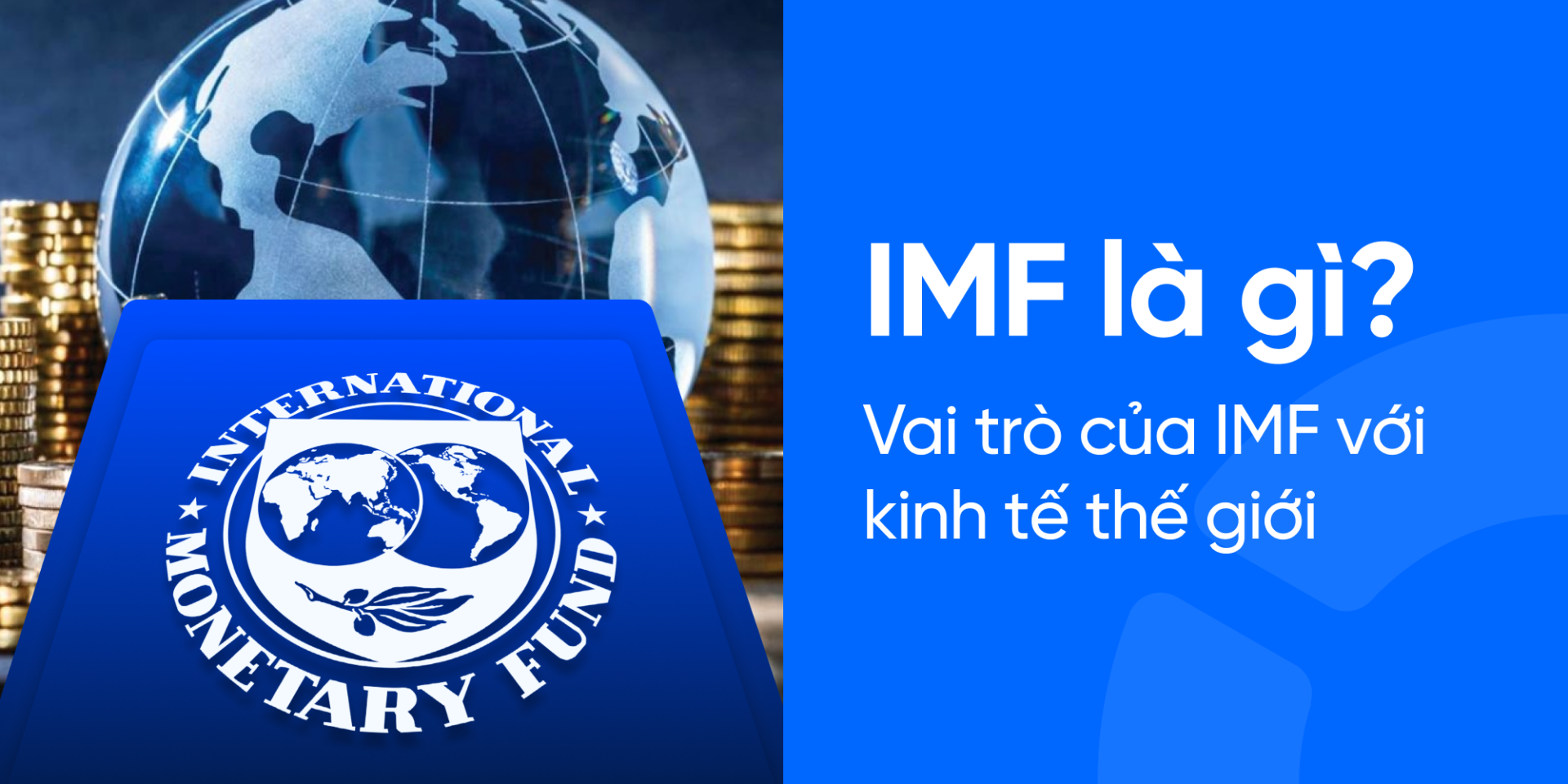 IMF là gì? Cấu trúc, vai trò của Quỹ Tiền tệ Quốc tế (IMF)
