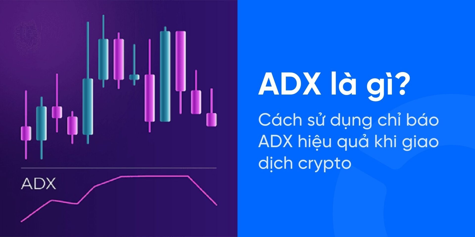 ADX là gì? Cách dùng chỉ báo ADX hiệu quả khi giao dịch crypto