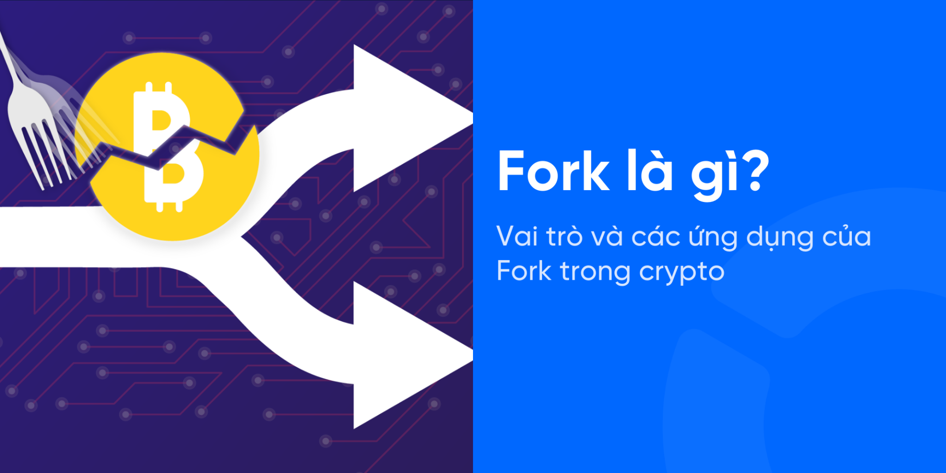 Fork là gì? Vai trò và các ứng dụng của Fork trong crypto