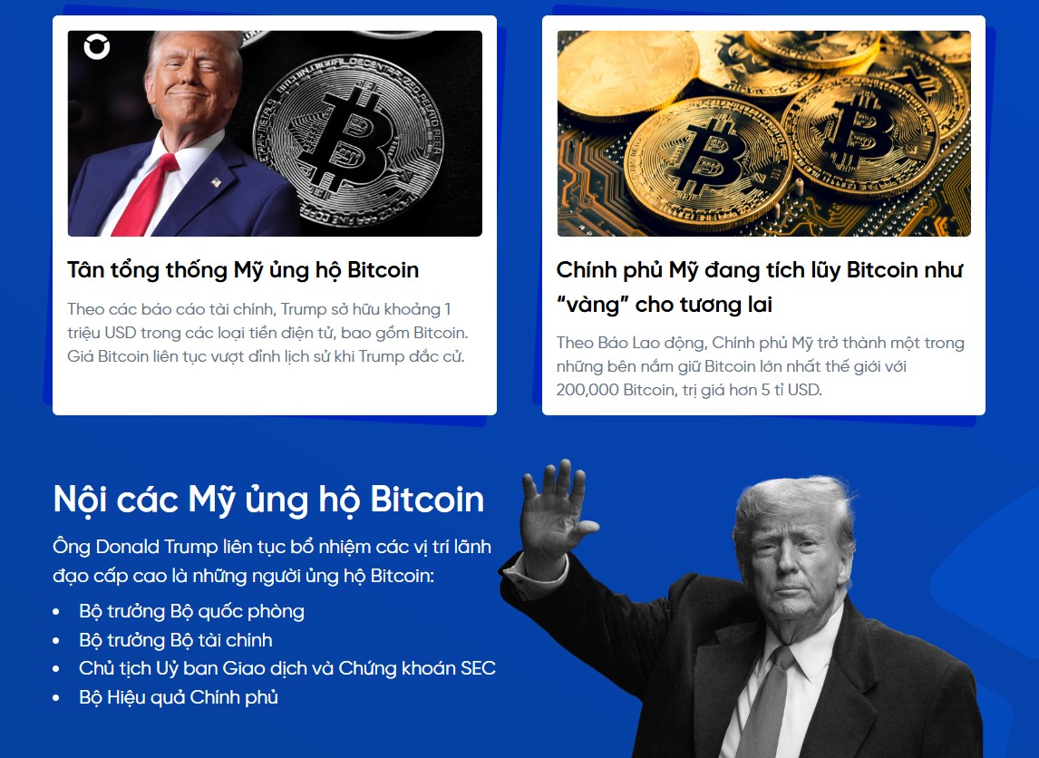 Biểu đồ giá Bitcoin năm 2010: Năm bản lề của Bitcoin