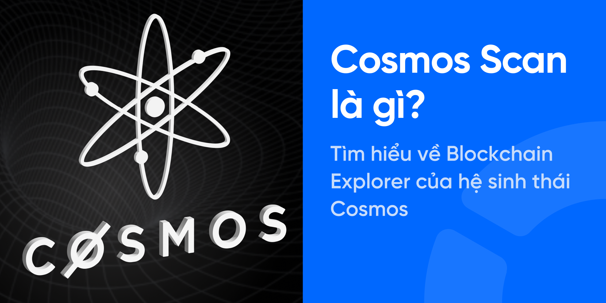 Cosmos Scan là gì? Tìm hiểu về Blockchain Explorer của hệ sinh thái Cosmos