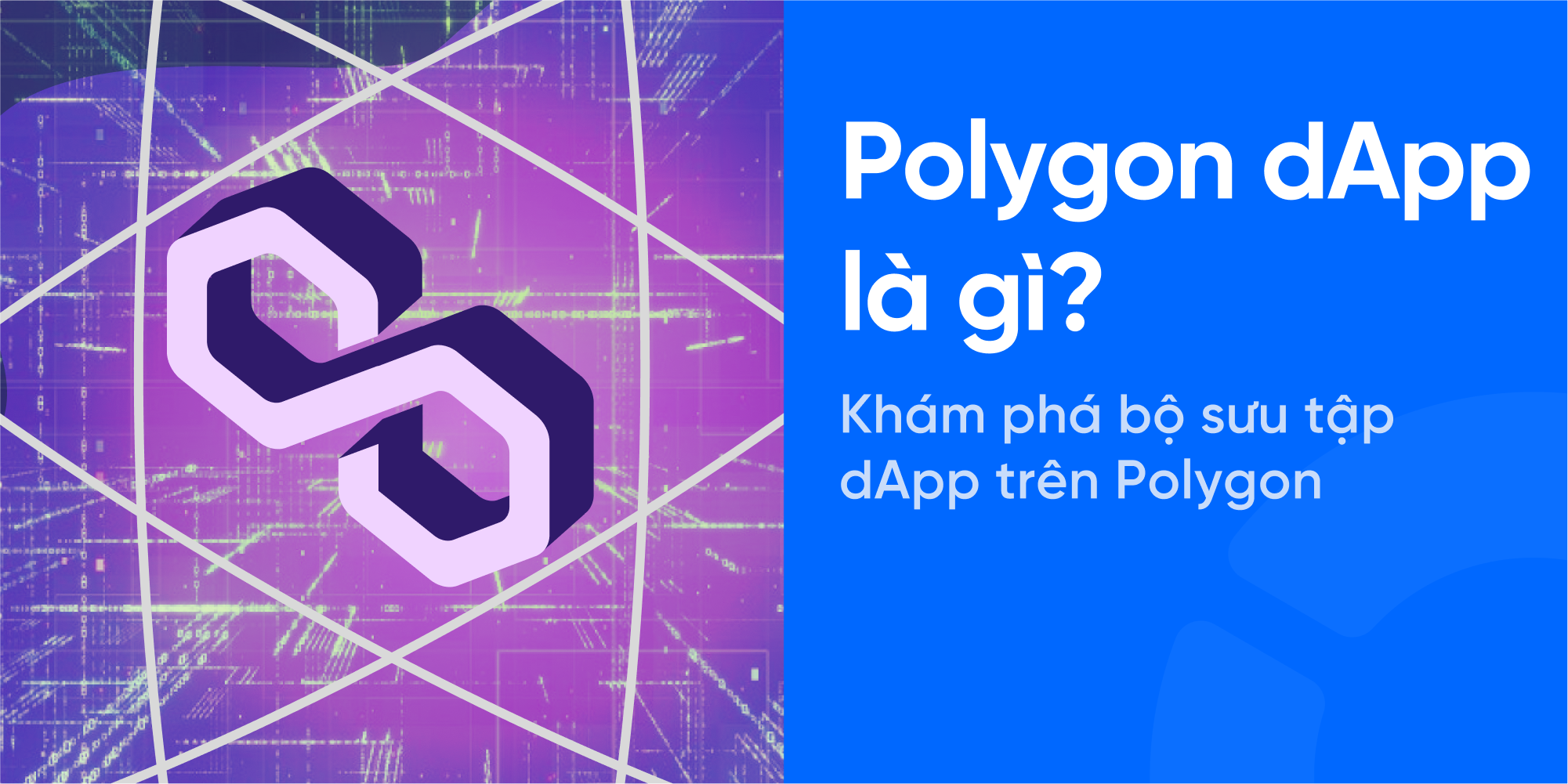 Polygon dApp là gì? Khám phá bộ sưu tập dApp trên Polygon