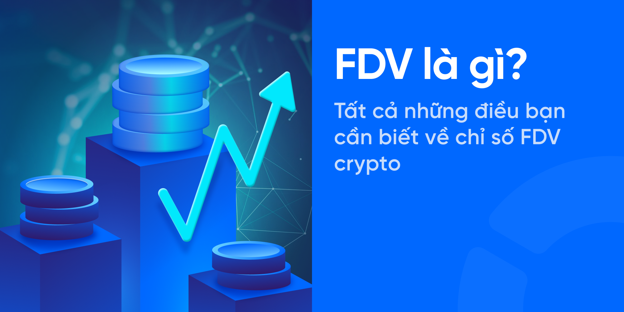 FDV là gì? Tất cả những điều bạn cần biết về chỉ số FDV crypto