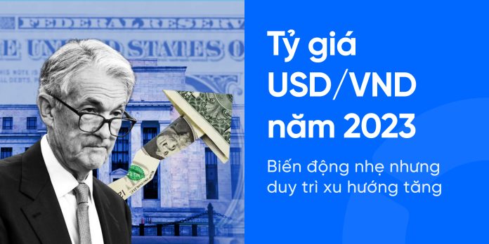 Tỷ giá USD/VND năm 2023: Biểu đồ, Diễn biến và Dự báo xu hướng