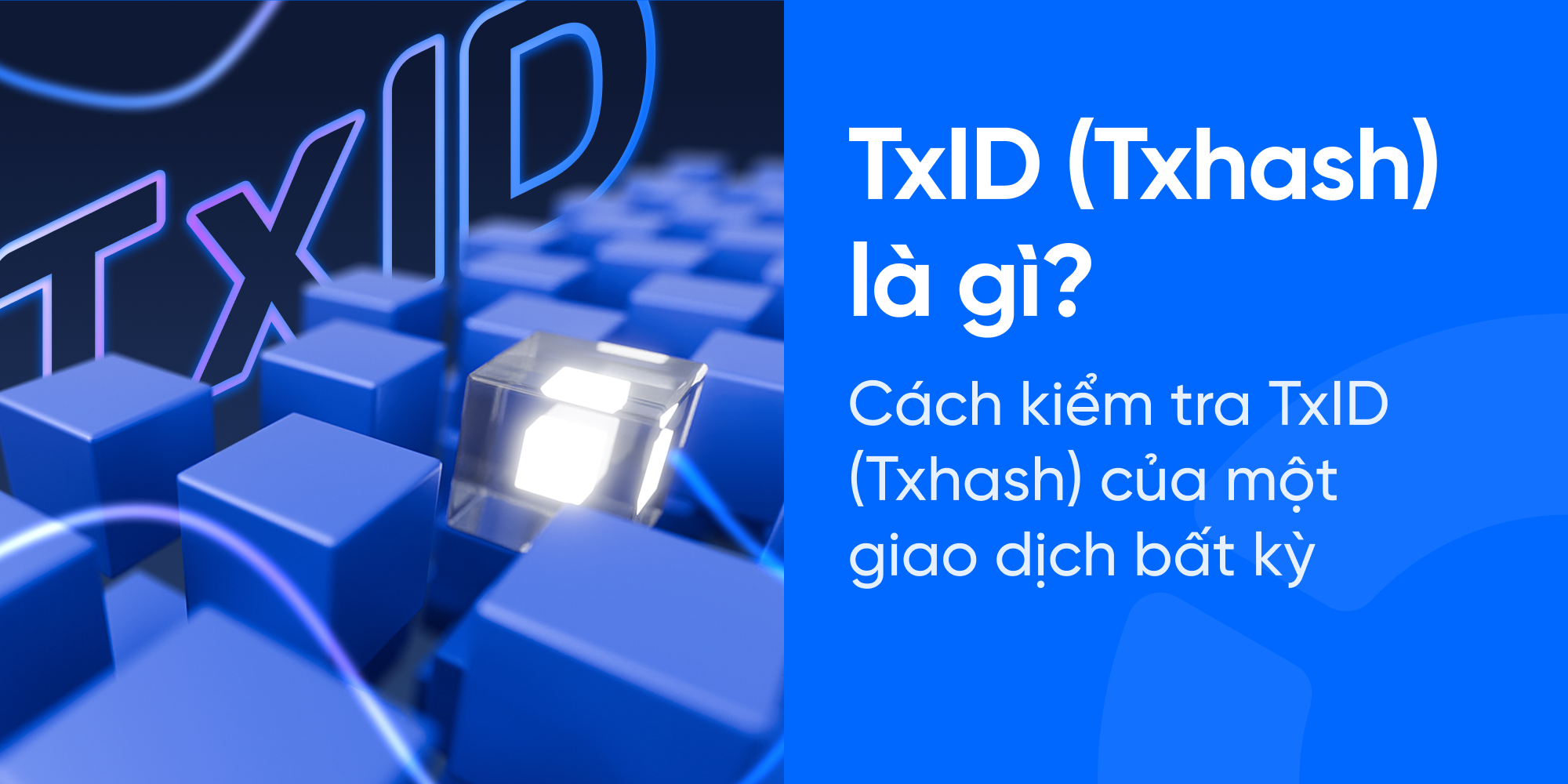 TxID (TxHash) là gì? Cách kiểm tra TxID (TxHash) của một giao dịch bất kỳ