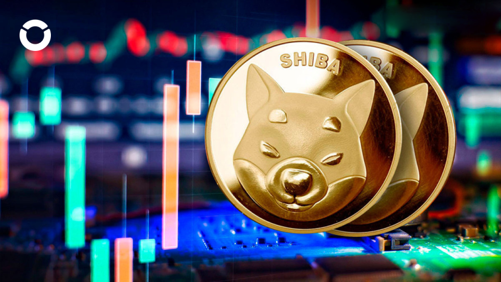 SHIBA INU large transactions up by 353%